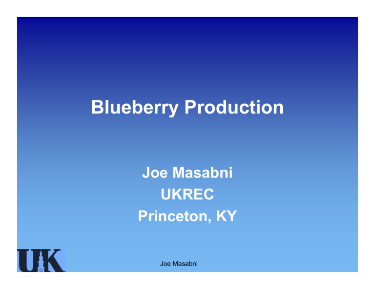 Blueberry Production Guide: Varieties & Cultivation