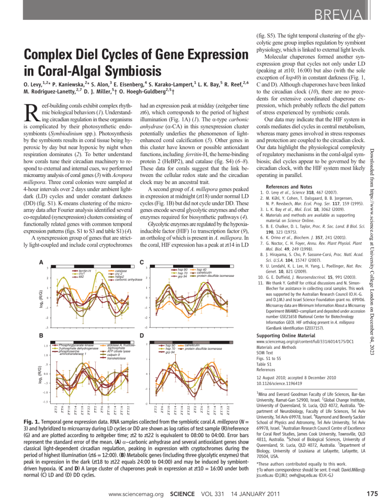 Coral Gene Expression Diel Cycles
