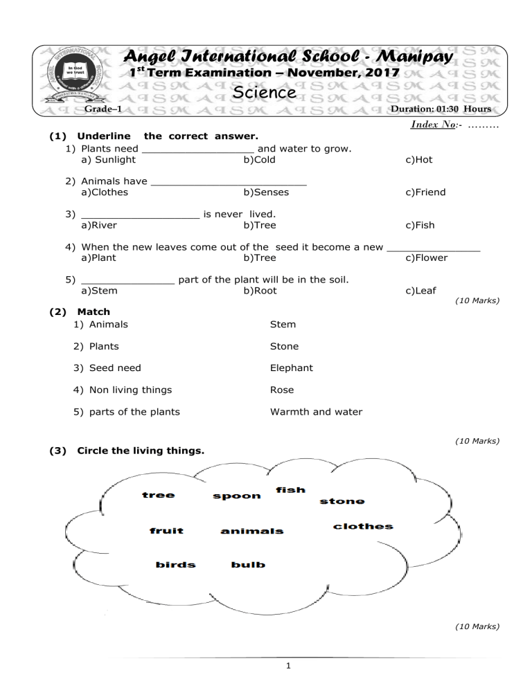 Grade 1 Science Exam: Plants, Animals, Senses