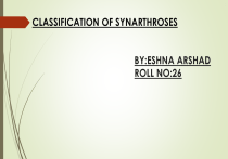 Synarthroses Joints: Classification & Types