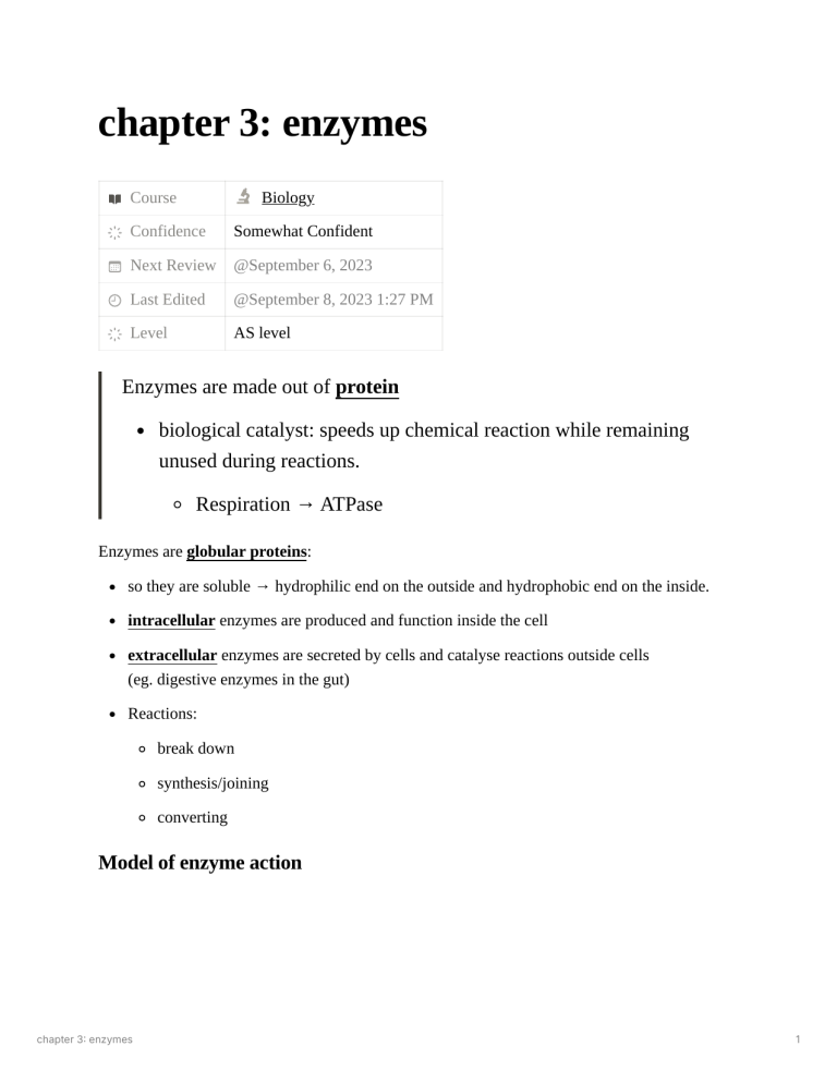 Enzymes: Structure, Function, and Activity