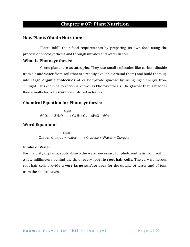 Plant Nutrition & Photosynthesis: A Guide