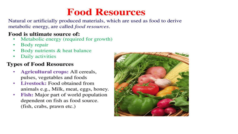 Food Resources: Types & Importance
