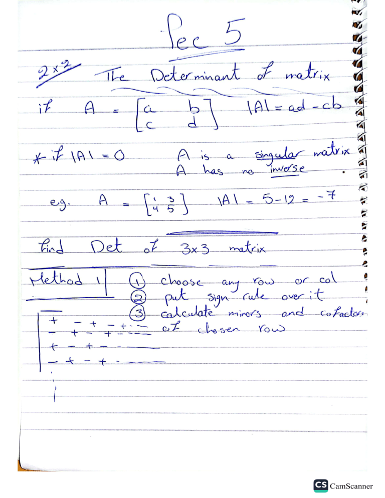 Matrix Determinants Lecture Notes