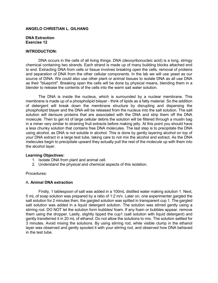 DNA Extraction Lab Report: Animal & Plant Cells