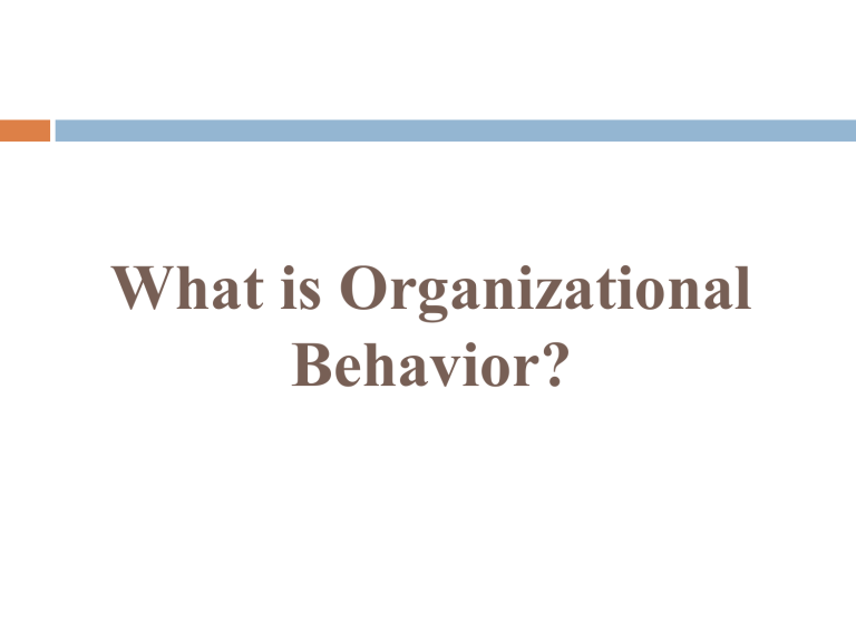Organizational Behavior: An Introduction
