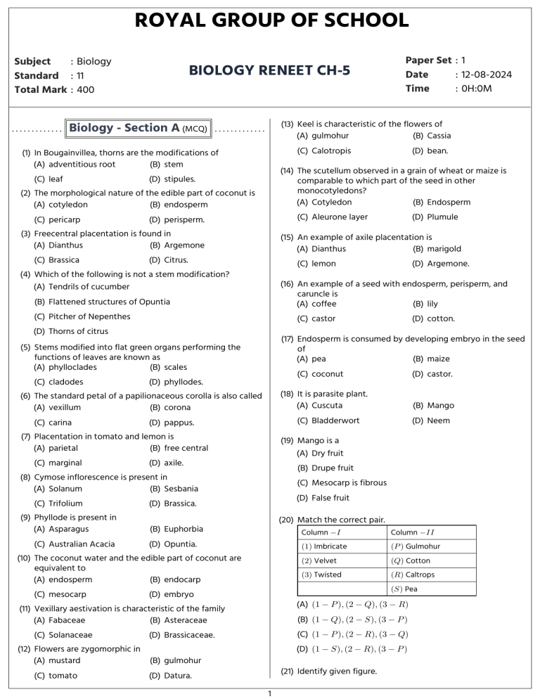 Biology Exam Paper: Plant Morphology