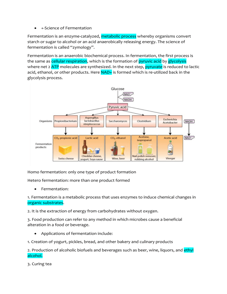 Science of Fermentation: Types & Applications