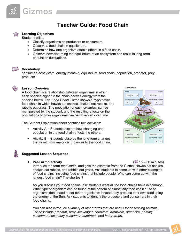 Food Chain Teacher Guide: Ecosystems & Equilibrium