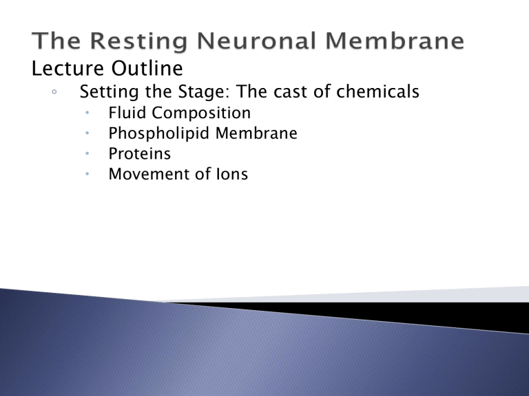 Resting Neuronal Membrane: Lecture Outline