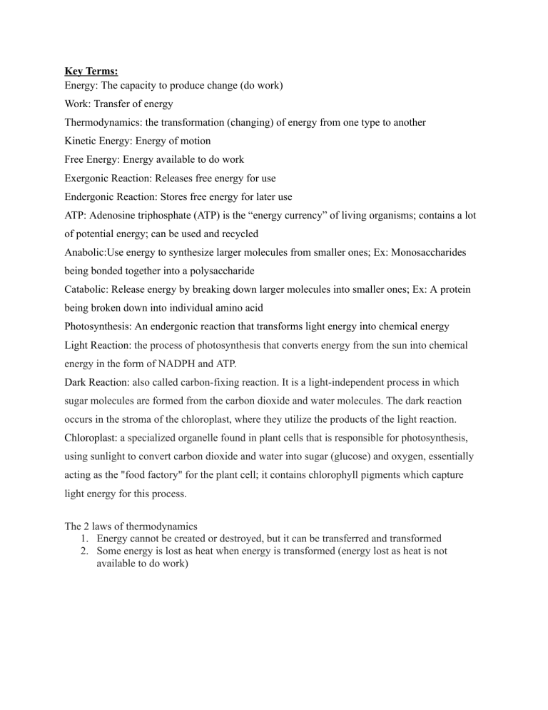 Thermodynamics & Photosynthesis Key Concepts