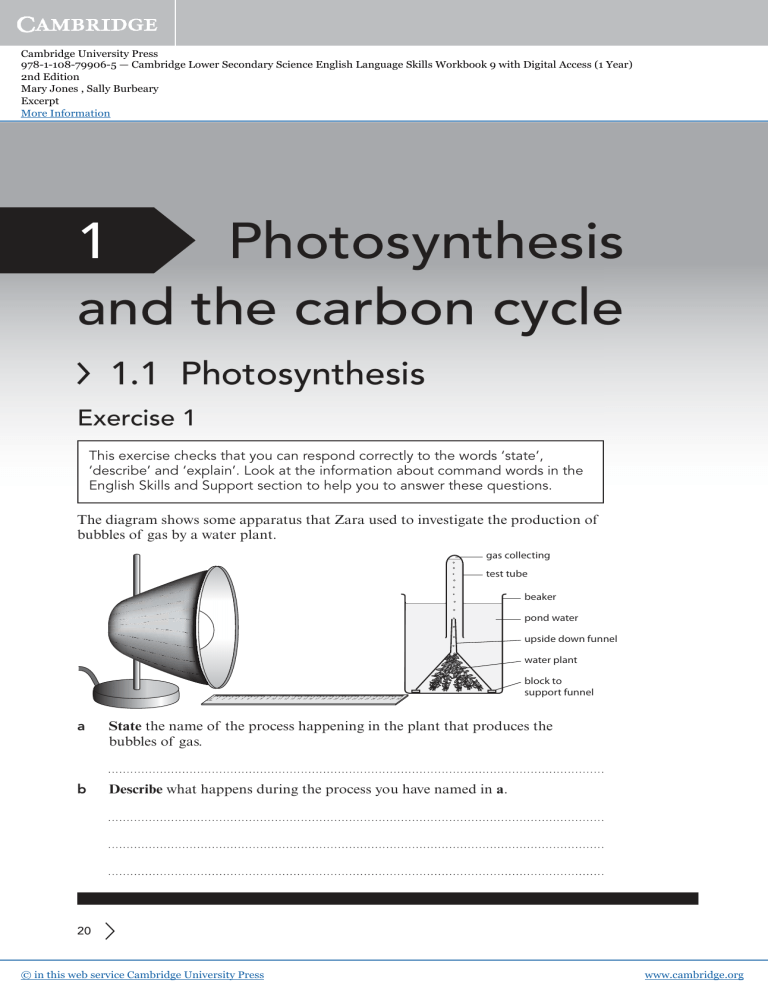 Photosynthesis & Carbon Cycle Workbook: Middle School Science