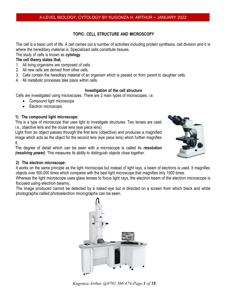 Cell Structure & Microscopy: A-Level Biology Guide