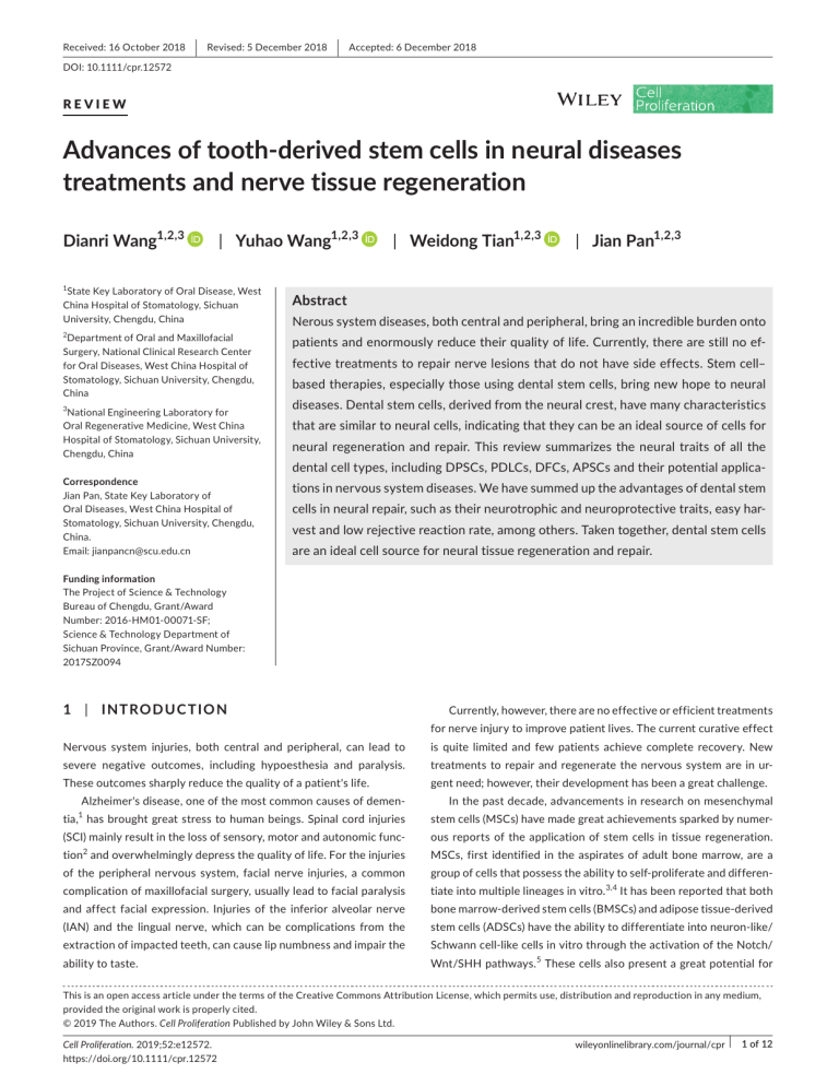 Tooth Stem Cells for Neural Repair: Advances & Regeneration