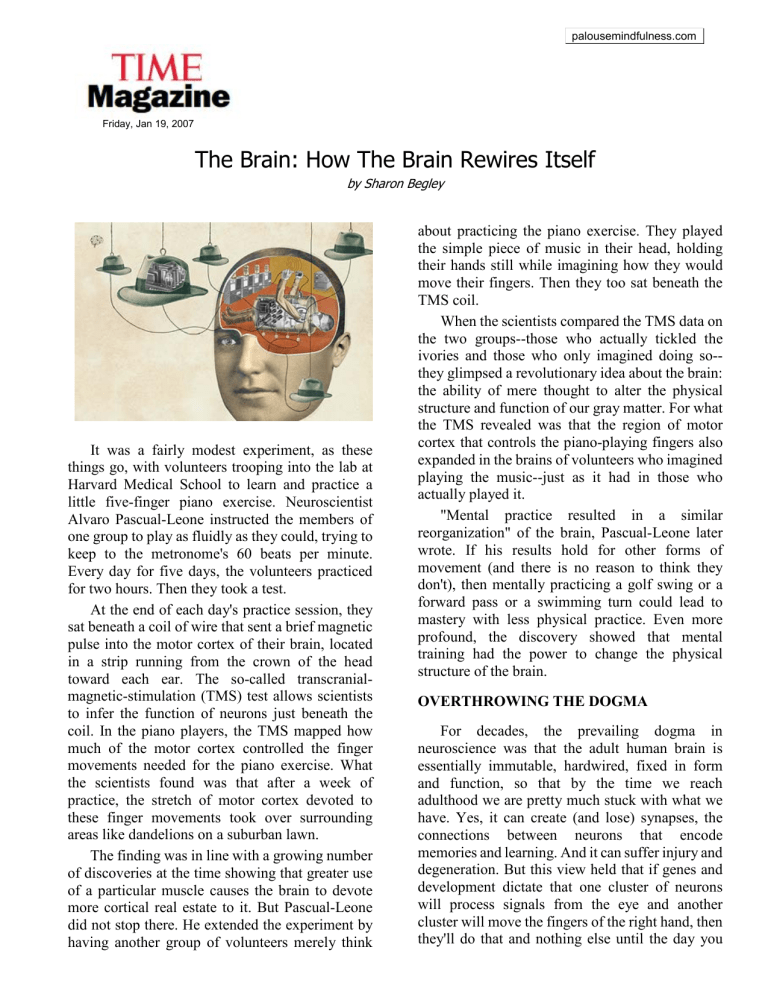 Brain Rewiring: Neuroplasticity and Mental Practice