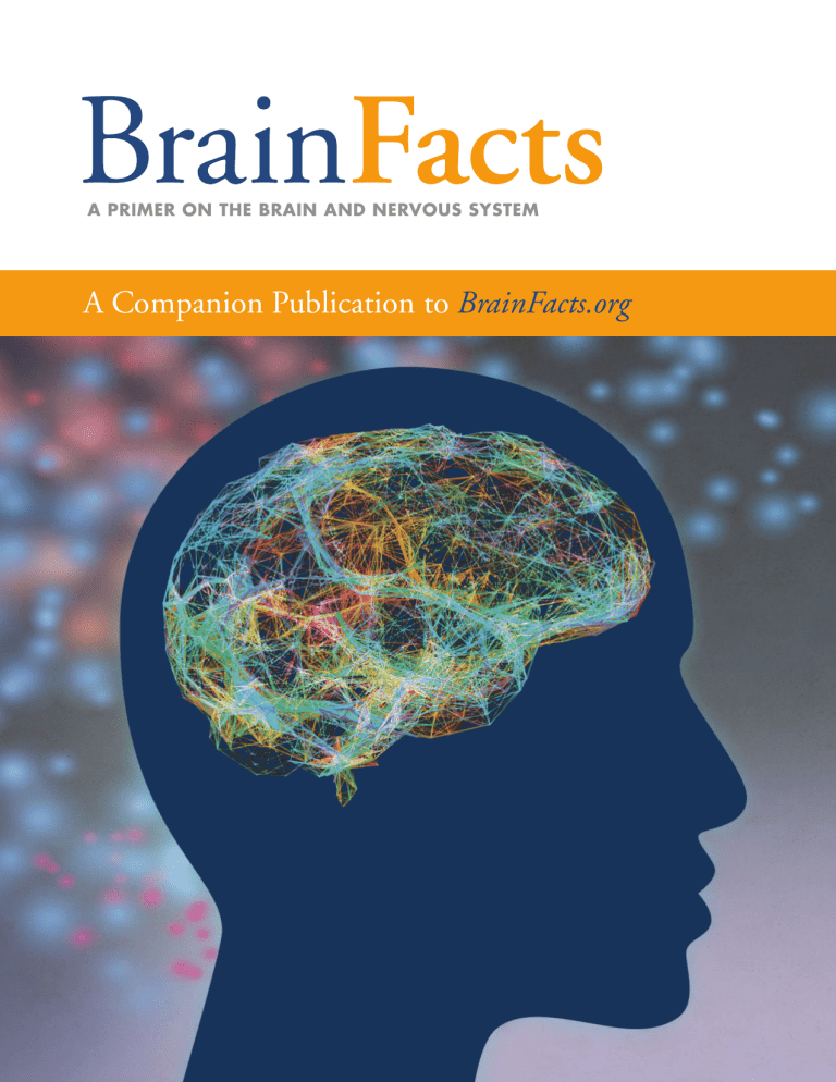 Brain Facts: Primer on the Brain and Nervous System