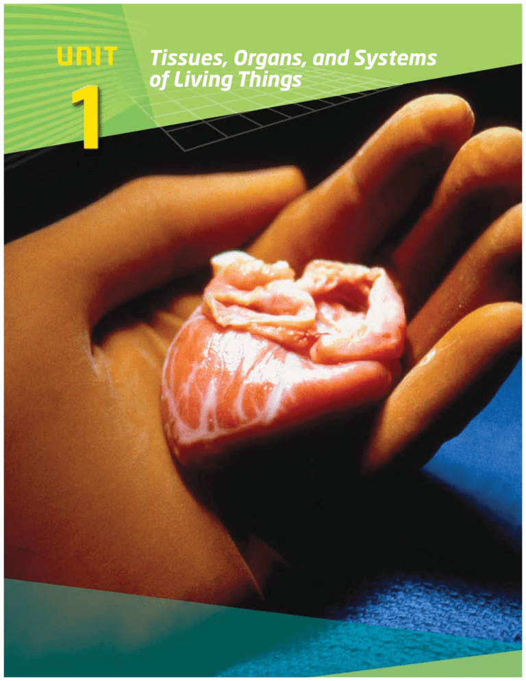 Tissues, Organs, and Systems of Living Things Textbook