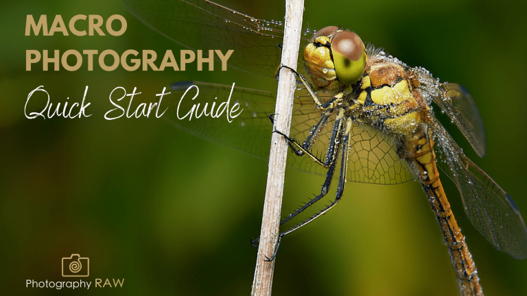 Macro Photography Quick Start Guide