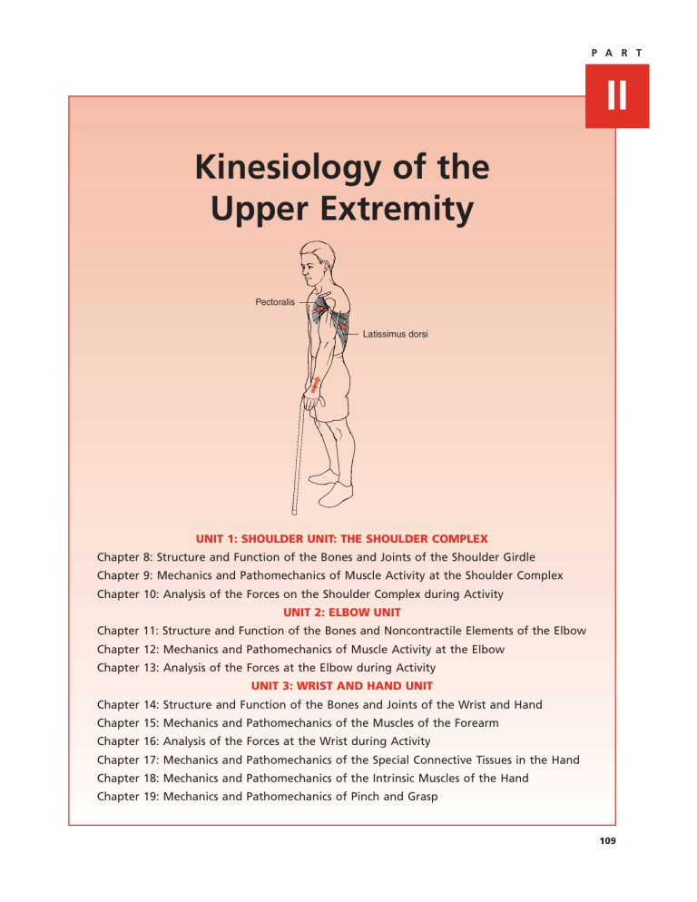 Shoulder Kinesiology: Bones, Joints, and Mechanics