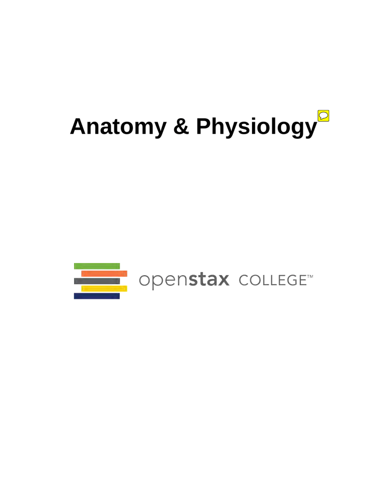 Anatomy & Physiology Textbook - OpenStax College