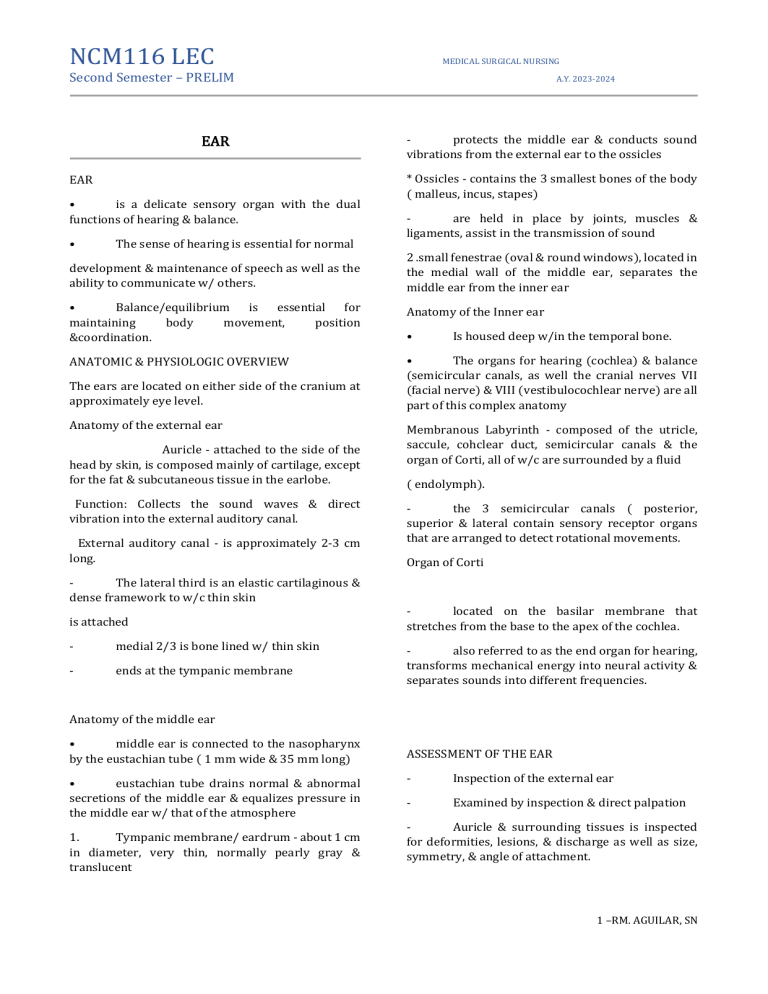 Ear Anatomy, Assessment & Disorders - Nursing Lecture Notes