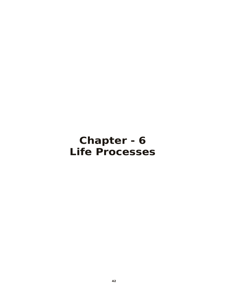Life Processes: Chapter 6 - Biology