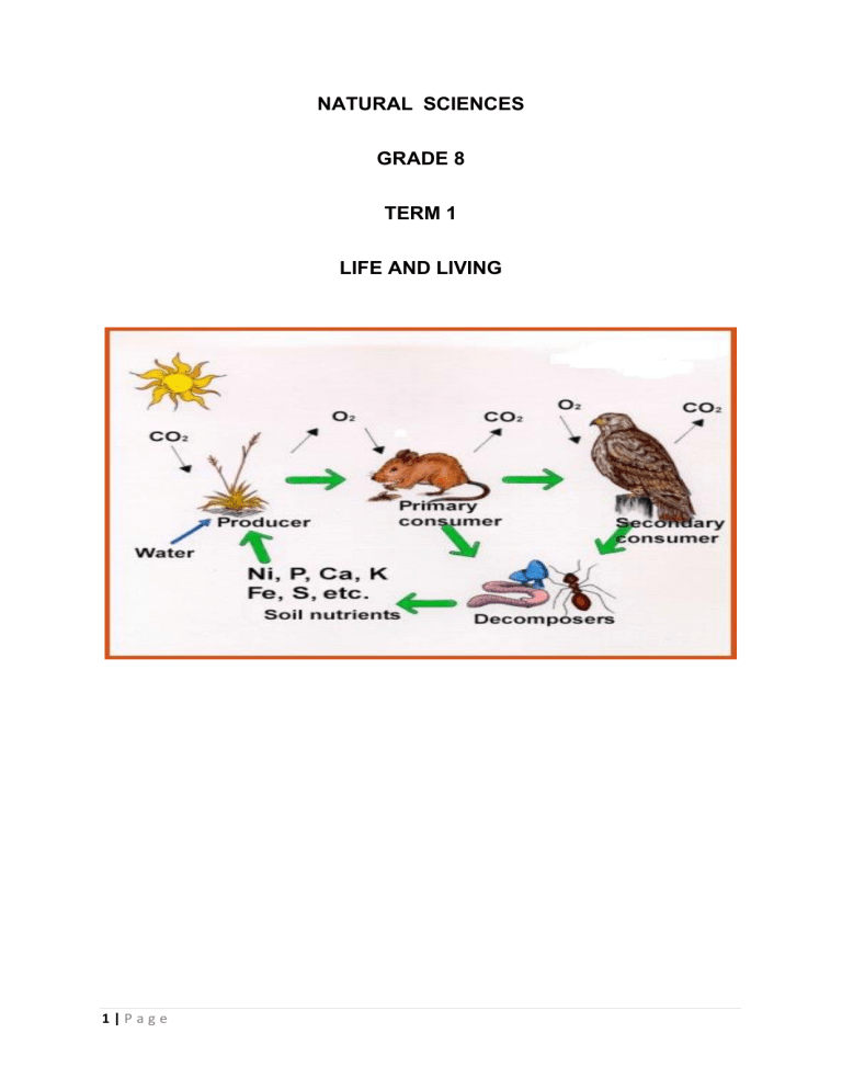 Grade 8 Natural Sciences: Photosynthesis, Ecology, Microorganisms