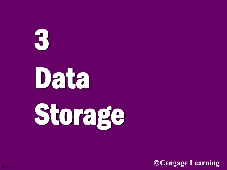Data Storage: Computer Science Chapter