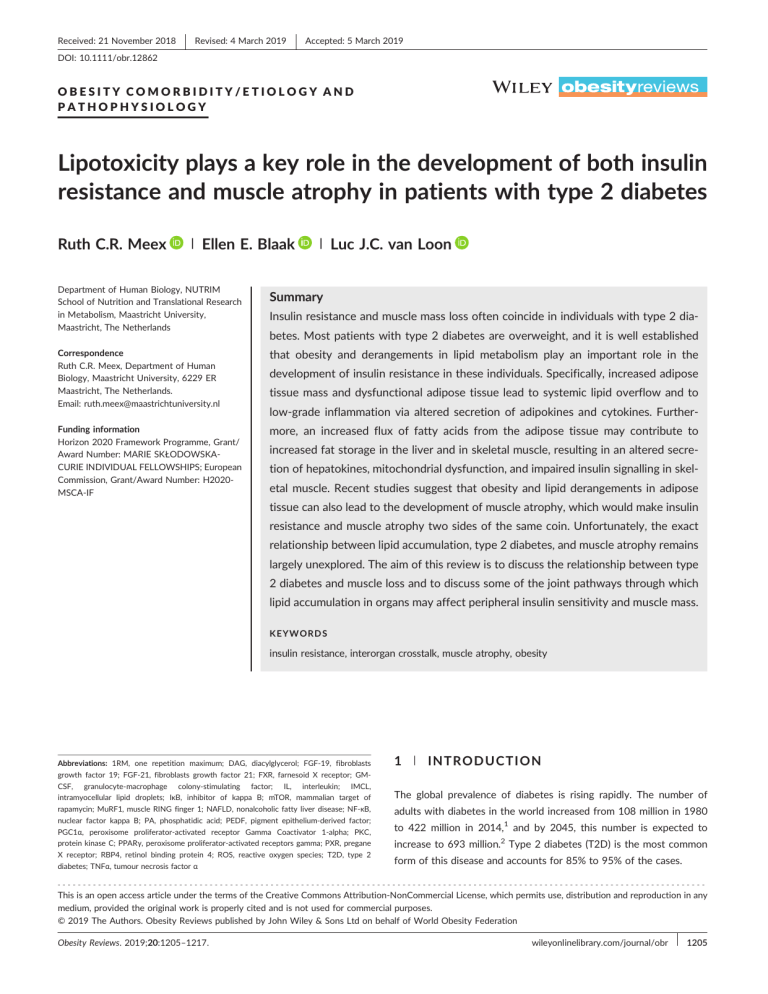 Lipotoxicity, Insulin Resistance & Muscle Atrophy in Type 2 Diabetes