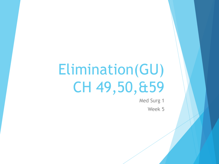 Elimination (GU) & Urinary Health: Med Surg Presentation