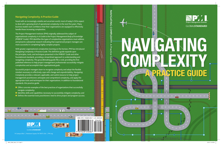 Navigating Complexity: Project Management Practice Guide