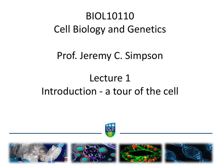 Cell Biology & Genetics: Intro to the Cell