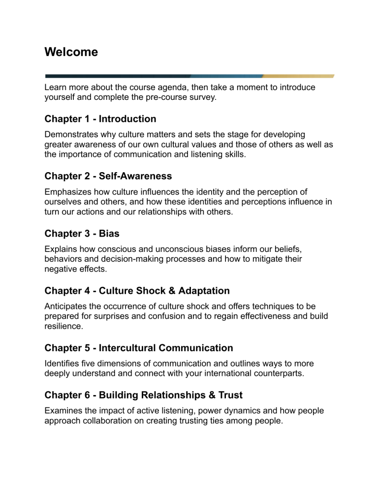 Intercultural Competence Course: Cultural Synergy & Awareness