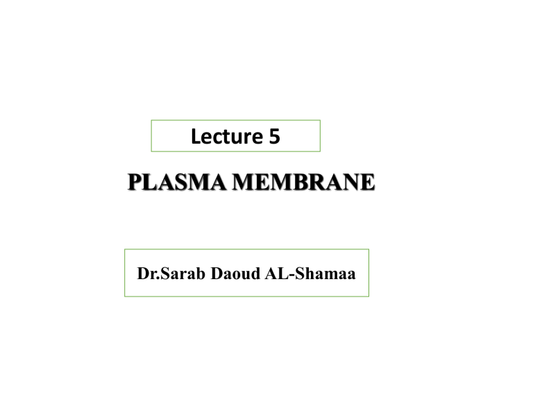 Plasma Membrane: Structure, Function & Transport - Lecture Notes