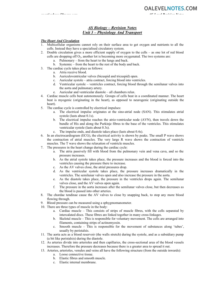 AS Biology: Heart & Circulation Revision Notes