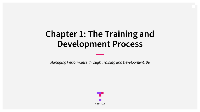Training and Development Process: Chapter 1 Overview