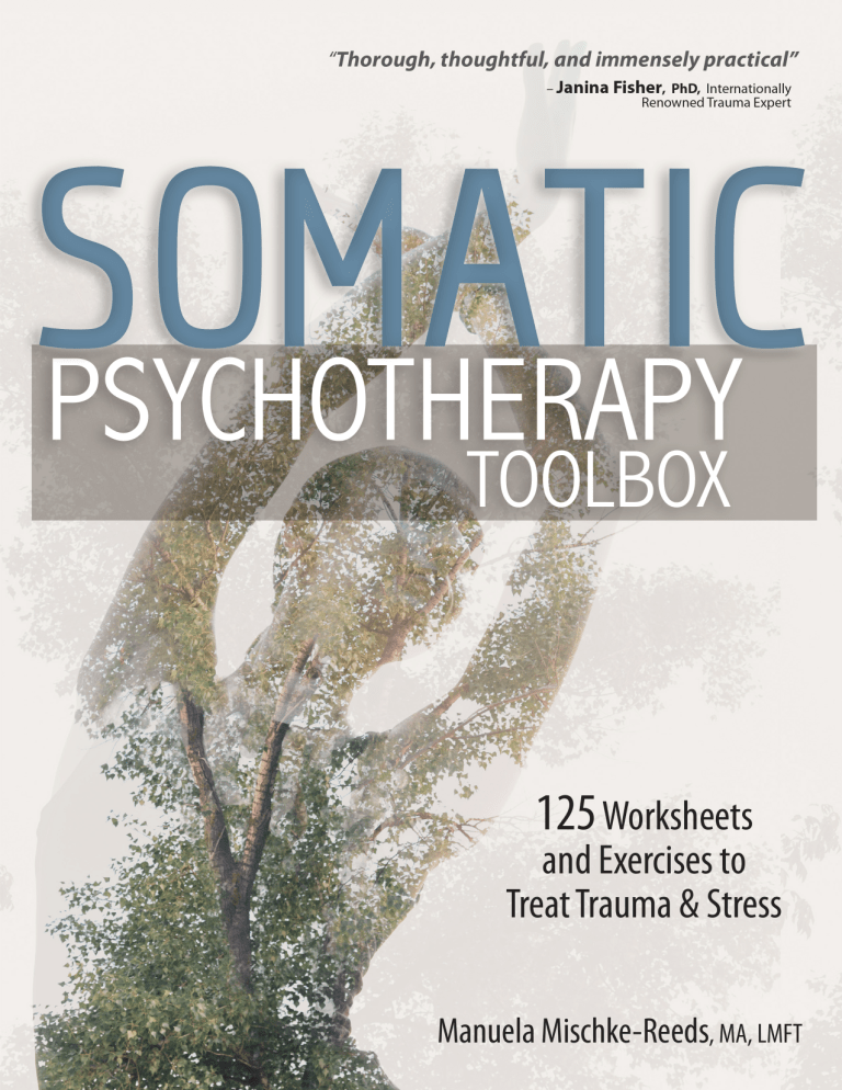 Somatic Psychotherapy Toolbox: Trauma & Stress Relief