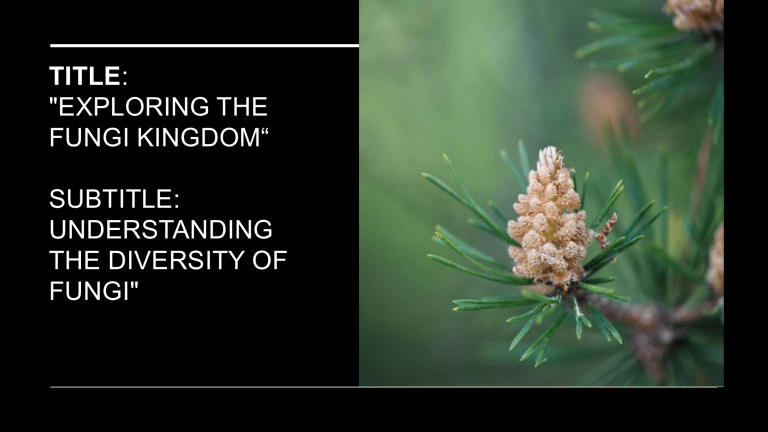 Exploring the Fungi Kingdom: Diversity & Characteristics