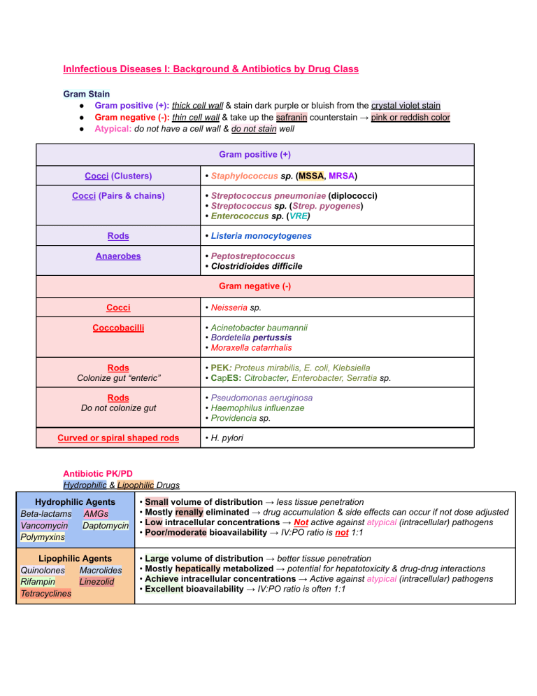 Infectious Diseases & Antibiotics: Gram Stain & Drug Classes