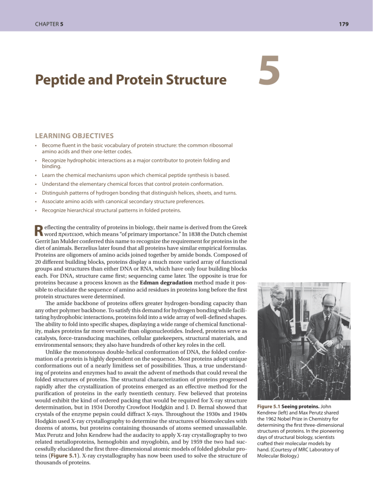 Peptide & Protein Structure: Biochemistry Textbook Chapter