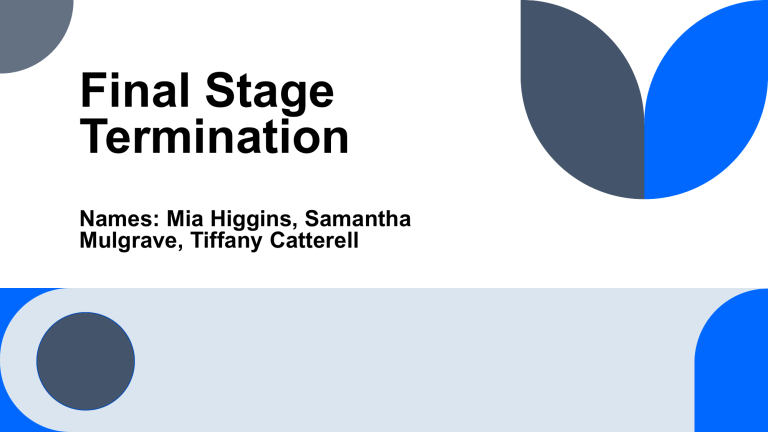 Group Therapy Termination: A Facilitator's Guide