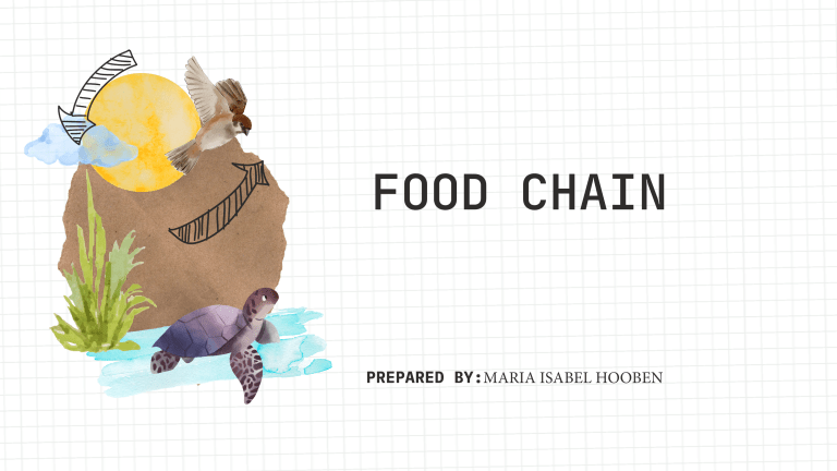 Food Chains, Webs & Ecological Pyramids Presentation