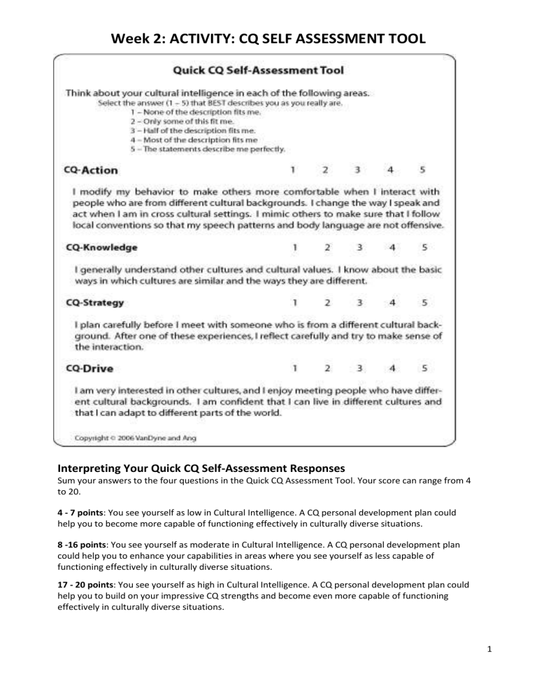 Cultural Intelligence (CQ) Self-Assessment Tool