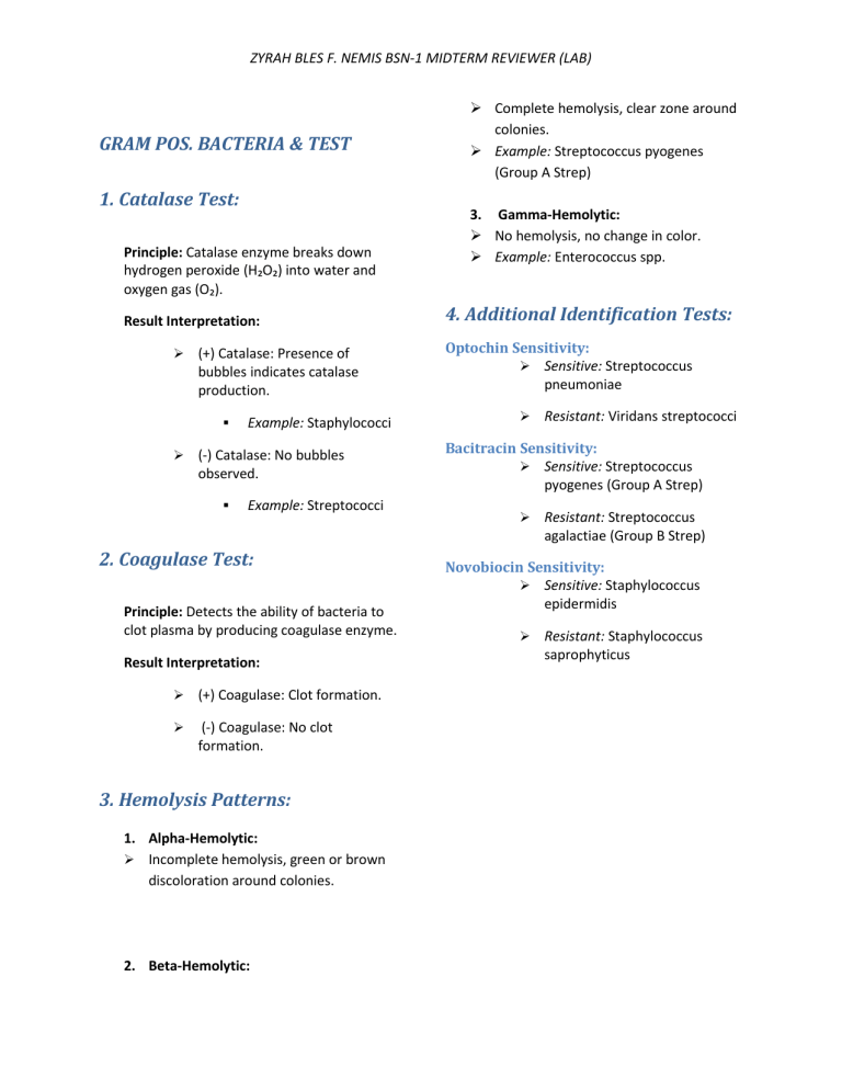 Microbiology Lab: Gram-Positive & Gram-Negative Bacteria Review