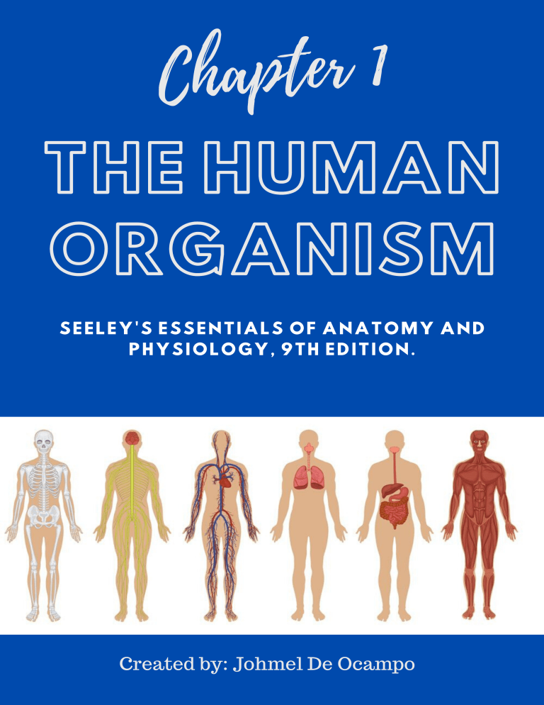 Anatomy & Physiology Lecture Notes: Human Organism