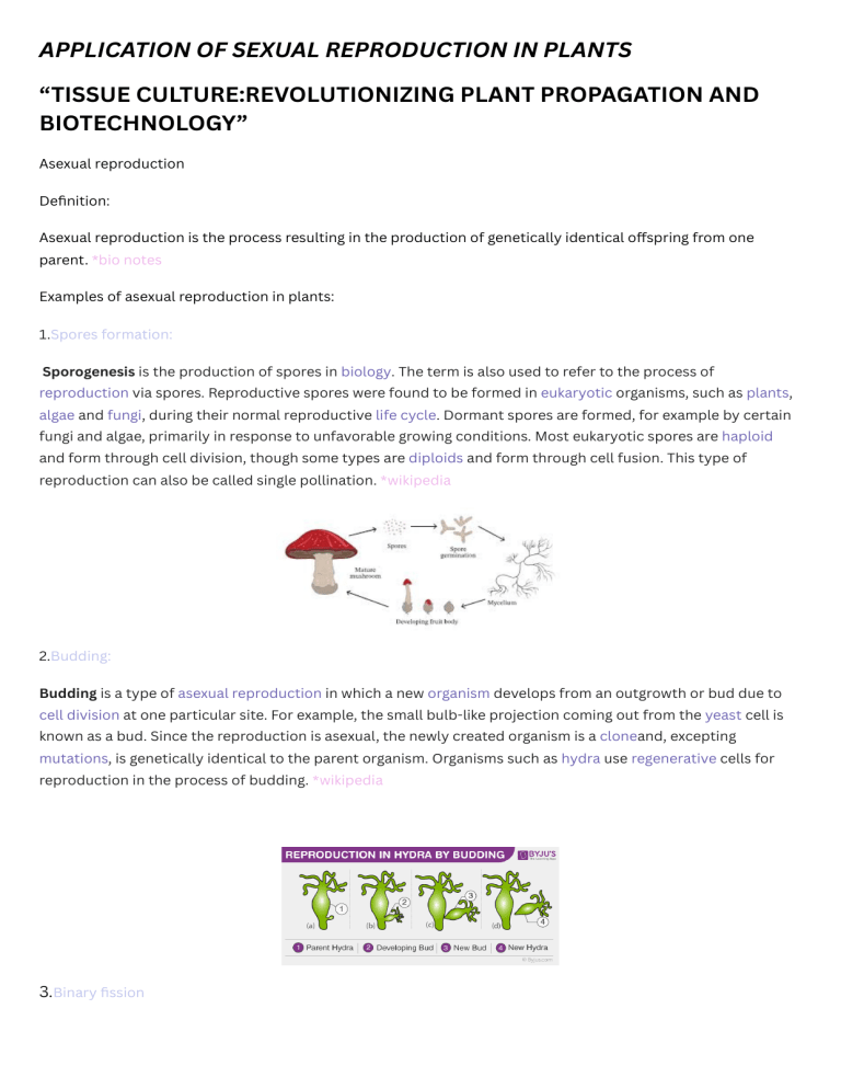 Asexual Reproduction in Plants: Tissue Culture & Propagation