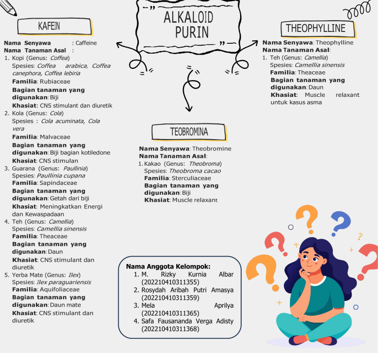 Kafein, Teobromin, Teofilin: Sumber & Sifat Tanaman