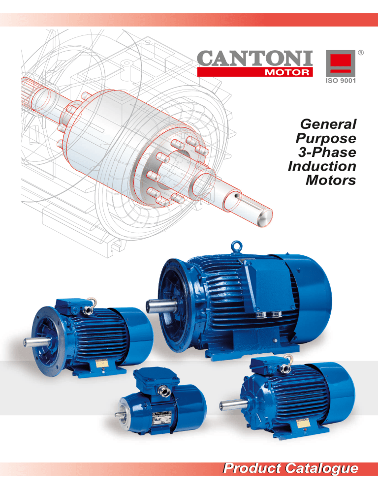 3-Phase Induction Motors Catalogue | Cantoni Motor