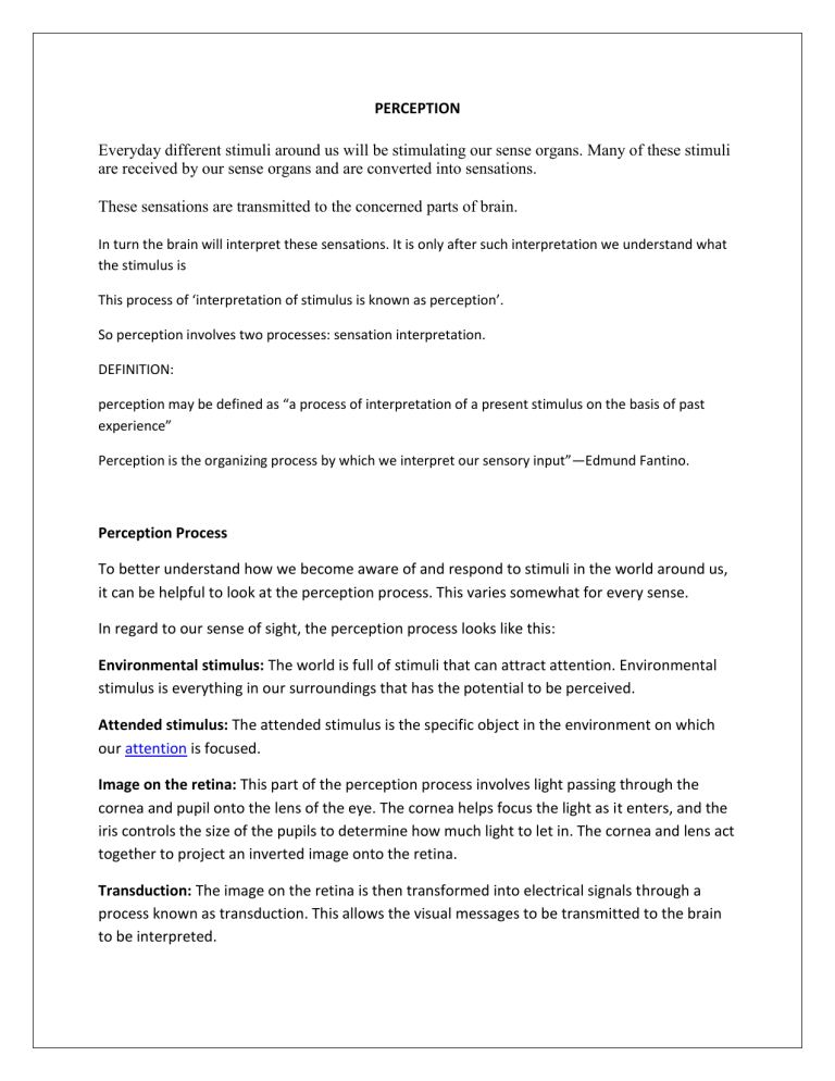 Perception: Definition, Process, and Influencing Factors