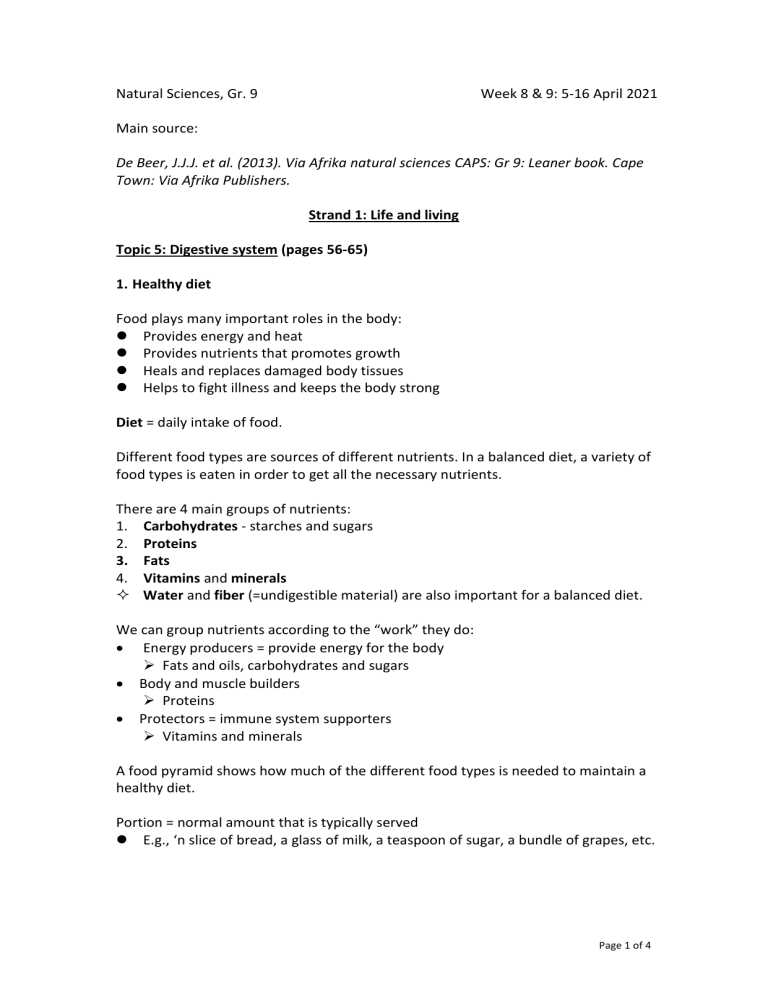 Digestive System & Healthy Diet: Grade 9 Natural Sciences